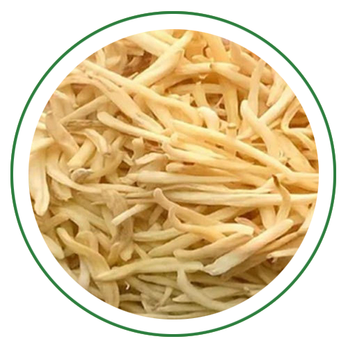 Buy Safed Musli Online – Unlock Safed Musli Benefits – Herbal Hills ...