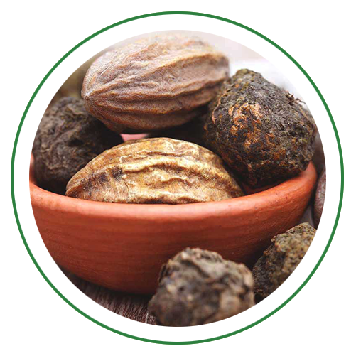 Buy Triphala Online – Unlock Triphala Benefits – Herbal Hills Wellness